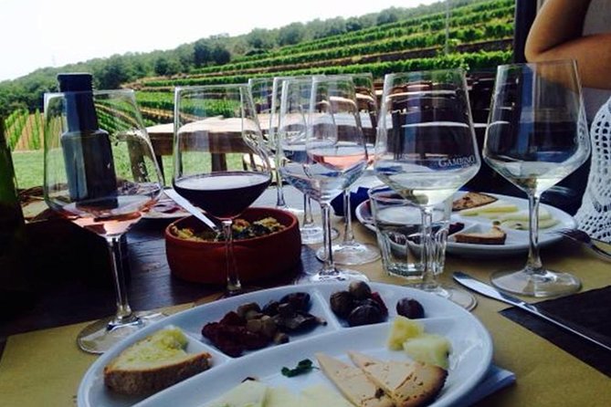 Etna Trekking and Wine Tasting - Customer Feedback and Recommendations
