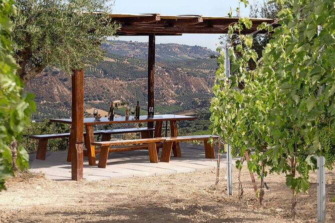 EUPHORIA - Vineyard Tour & Wine Tasting - Accessibility and Additional Details