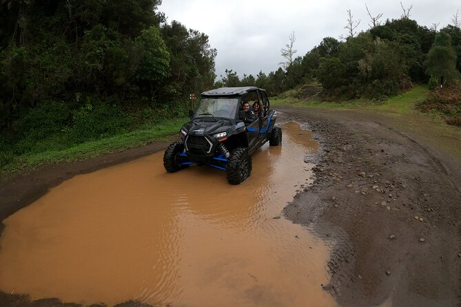 Exclusive Private Buggy Adventure: Forest and Mountains - Ensuring a Safe and Enjoyable Experience