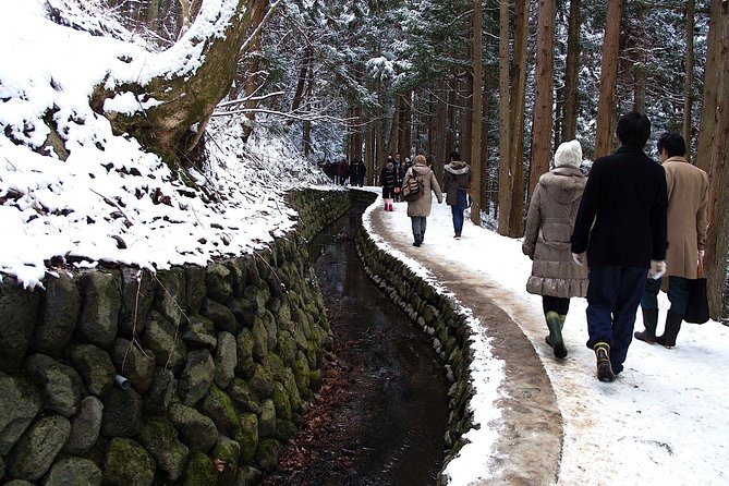 Explore Jigokudani Snow Monkey Park With a Local Guide - Appreciating the Expertise of the Local Guide