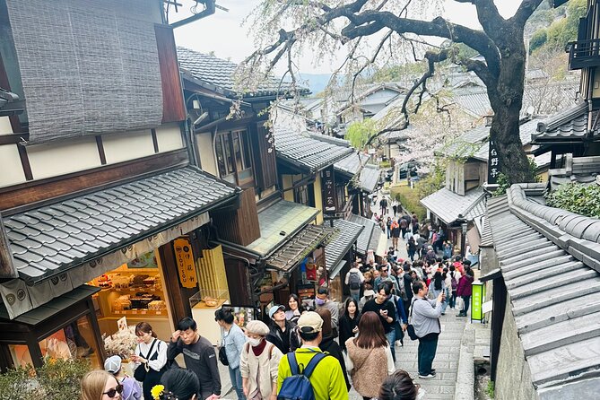 Explore Kyoto Nara Osaka (We Fully Booked Upto December ) - Itinerary: Exploring Kyoto