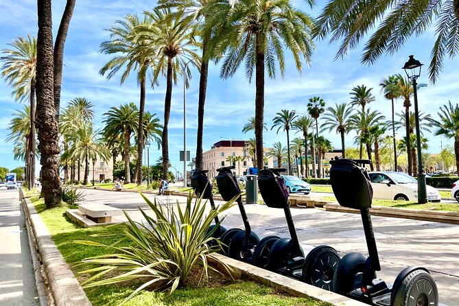 Express 1 Hour Segway Tour Review - Segway Experience