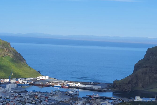 Eyjascooter Puffin Tour in Iceland - Customer Feedback and Reviews
