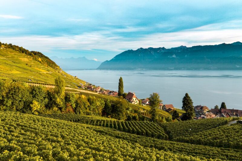 From Geneva: Swiss Riviera Tour - Important Information
