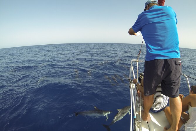 From Heraklion : Small Group 6 Hours Sailing Trip to Dia Island - Why Choose This Experience?