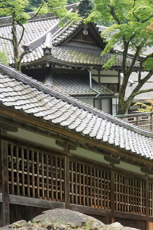 From Kanazawa: Eiheiji Buddhist Temple & Fukui Castle Town - Getting to Fukui From Kanazawa
