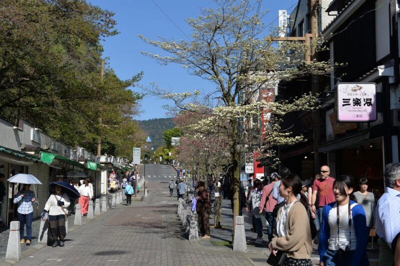 From Kyoto: Old Port Town and Ultimate Sake Tasting Tour - Important Information