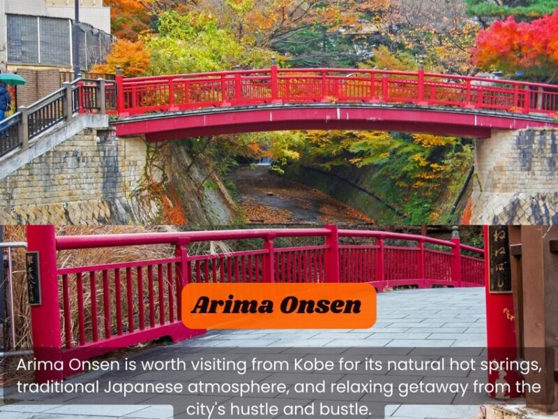 From Osaka: KOBE 1-Day TOUR With English Speaking Driver. - Important Information and Customer Reviews