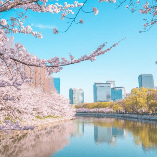 From Osaka: Private Customisable Osaka Full Day Tour By Car - Driver and Communication