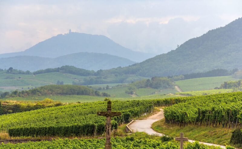 From Strasbourg: Full-Day Highlights of the Alsace Tour - Exploring the Picturesque Village of Eguisheim