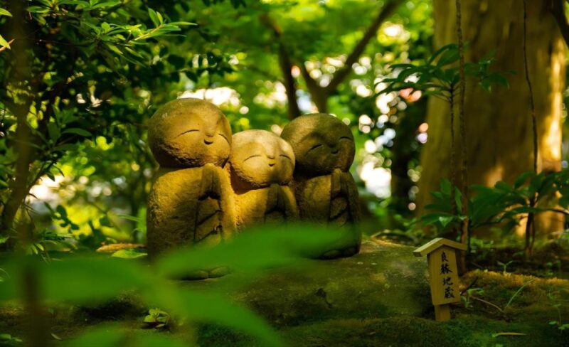 From Tokyo: 10-hour Private Custom Tour to Kamakura - Transportation and Pickup