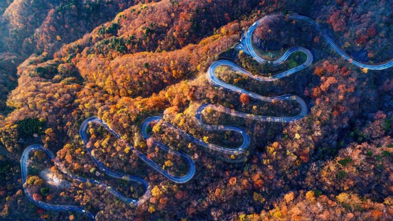From Tokyo: 10-hour Private Custom Tour to Nikko - Booking and Reservations