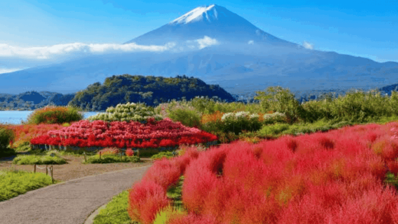 From Tokyo: Mount Fuji And Hakone Private Full Day Trip - Booking and Cancellation Policy