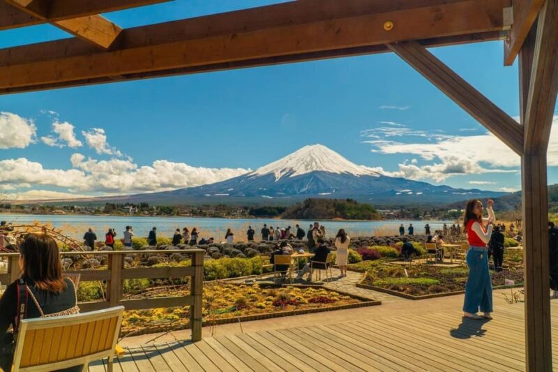 From Tokyo: Mount Fuji Private Tour With a Driver/Guide - Inclusions and Additional Costs