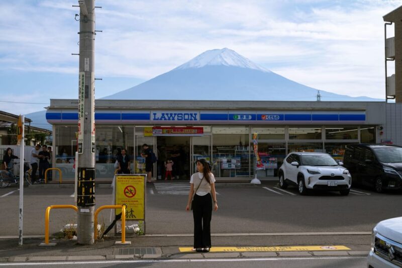 From Tokyo: Mt. Fuji And Hakone Private Sightseeing Day Trip - Traveler Participation and Private Tour
