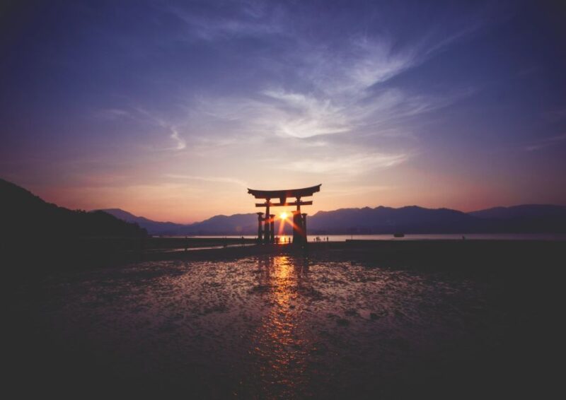 From Tokyo: Mt. Fuji or Hakone Private Sightseeing Day Trip - Inclusions