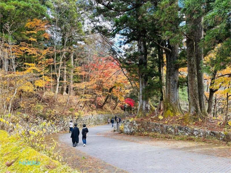 FROM TOKYO: NIKKO WORLD HERITAGE SIGHTS PRIVATE TOUR - Lake Chūzenji