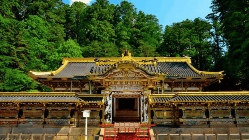 From Tokyo: Niko Full Day Private Tour With English Chauffer - Customer Feedback and Ratings