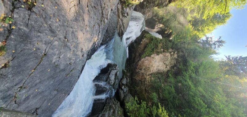 From Zurich: Waterfalls Valley & Aareschlucht Gorge Day Tour - Tour Inclusions