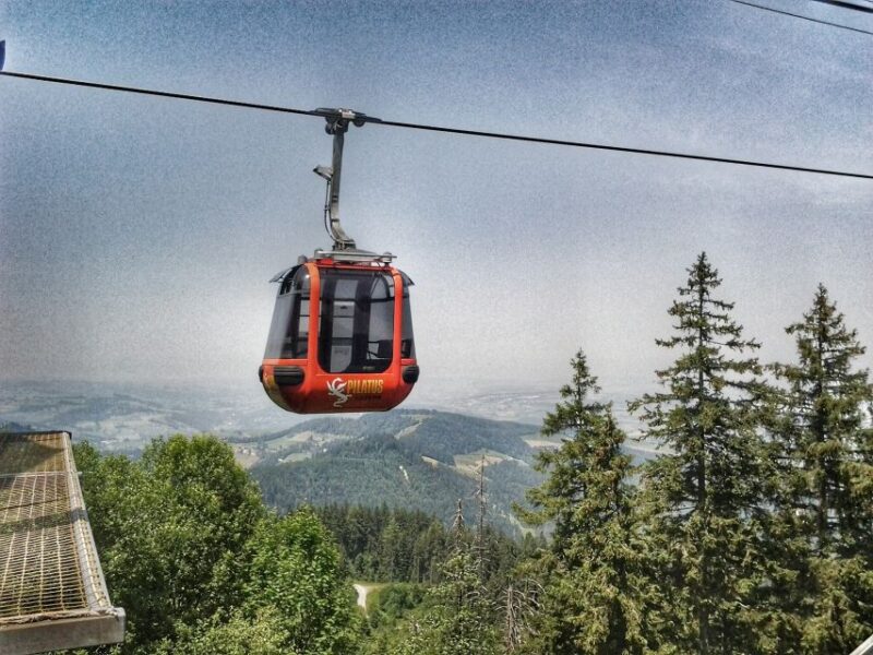 From Zürich:Small Group Tour Golden Roundtrip to Mt. Pilatus - Surrounded by Alpine Views