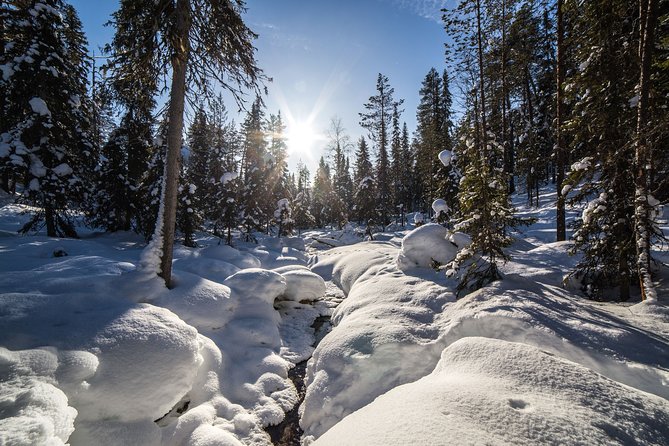 Frozen Waterfalls in Korouoma Canyon Adventure - Capturing the Breathtaking Frozen Waterfall Moments