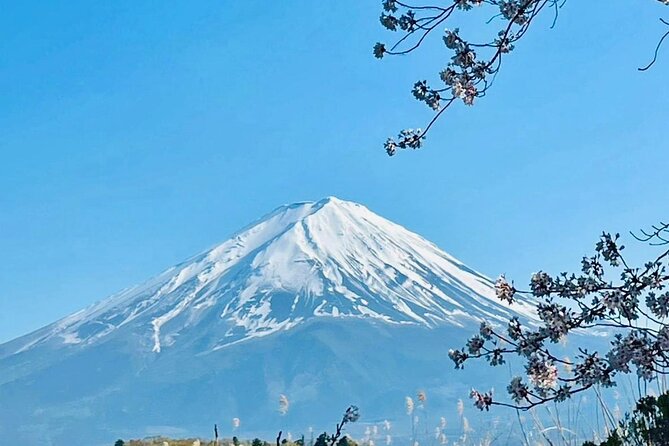 Fuji Hakone Cherry Blossom Private Tour - Visiting Hakone Open Air Museum