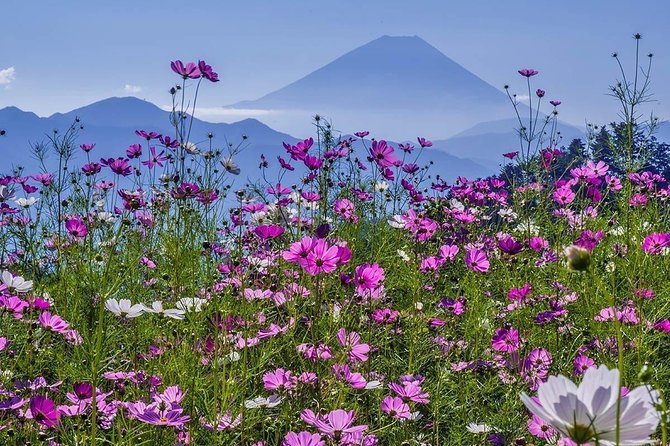 Fuji Kawaguchiko Hakone Private Car Tour - Highlights of the Tour