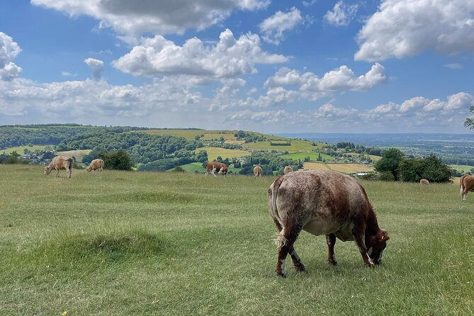 Full Day Cotswolds Tour; Where Opulence and Heritage Converge - Tour Highlights and Key Stops
