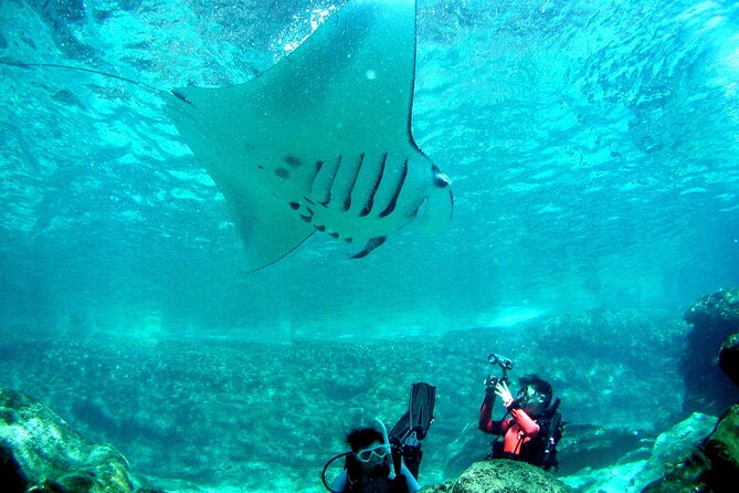 Full Day Guided Boat 2diving in Kerama Islands（License Required） - Additional Information
