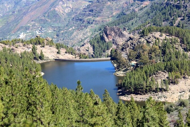 Full Day Hiking Gran Canaria Peaks of Gran Canaria - Positive Participant Feedback