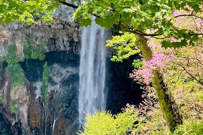 Full-Day Private Nikko Tour From Tokyo Wd English Speaking Driver - Guest Reviews and Ratings