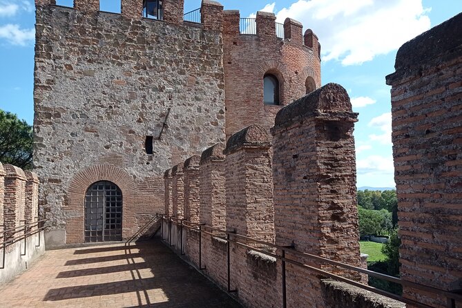 Full Day Rome Tour - Highlights of the Day