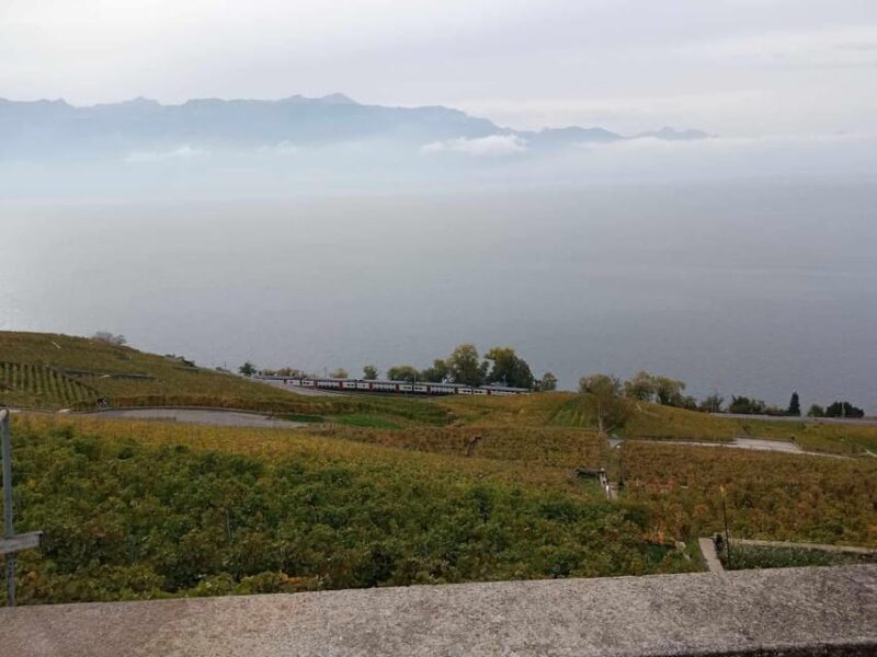 Geneva: Guided Wine Tour - Duration and Group Size