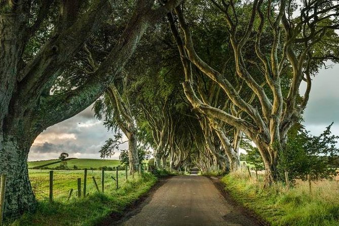 Giants Causeway Day Tour From Dublin Review - Timing and Pacing Concerns
