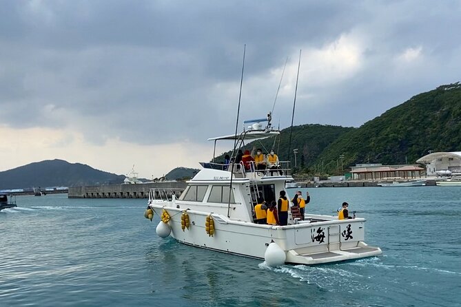 Great Whale Watching at Kerama Islands and Zamami Island - Health and Safety Considerations