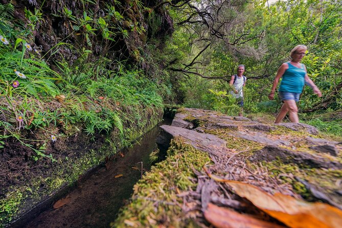 Green Cauldron Levadas Walk in Madeira - Customer Experiences and Feedback