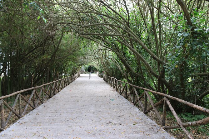 Group Guided Tour of the Archaeological Park of Neapolis - Pricing and Availability