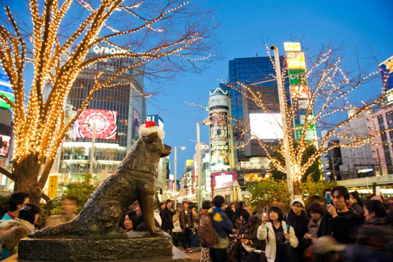 GTR Nissan Tour - Tokyo/Yokohama - Frequently Asked Questions