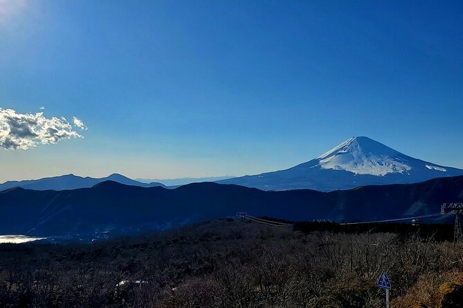 Guided 2 Days Tour Tokyo ,Mt Fuji and Hakone GREEN NUMBER PLATES - Explore Tokyo, Mt. Fuji, and Hakone