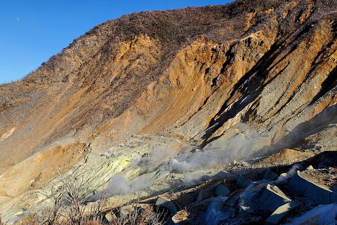 Guided Mt. Fuji & Hakone Tour Bullet Train Return GREEN NUMBER - Exploring Mt. Fuji