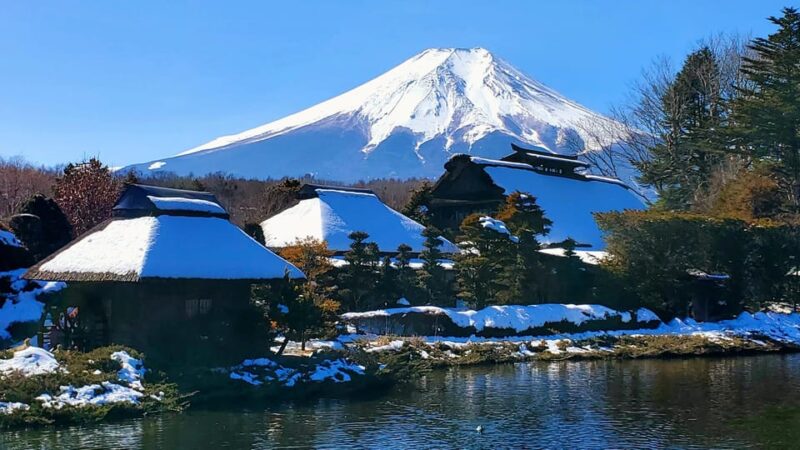 Guided Mt. Fuji & Hakone Tour GREEN NUMBER PLATES - Guided Tour Experience
