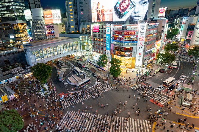 Guided Tokyo Private Tour GREEN NUMBER PLATES - Highlights of the Tour
