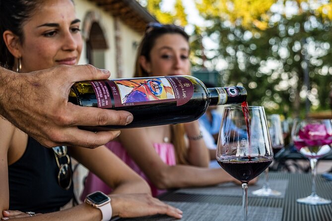 Guided Tour of the Cellars With Wine Tasting and Lunch - Purchasing Wine and Olive Oil