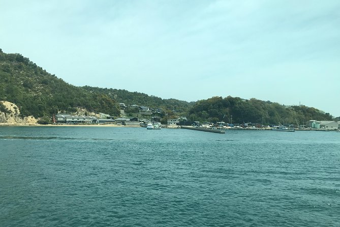 Guided Tour to Naoshima, Art, Island With a Private Car - Traveler Reviews and Guide Expertise
