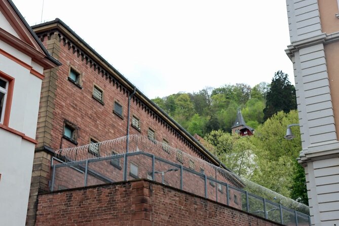 Guided Walking Tour in Heidelberg - Provider Information