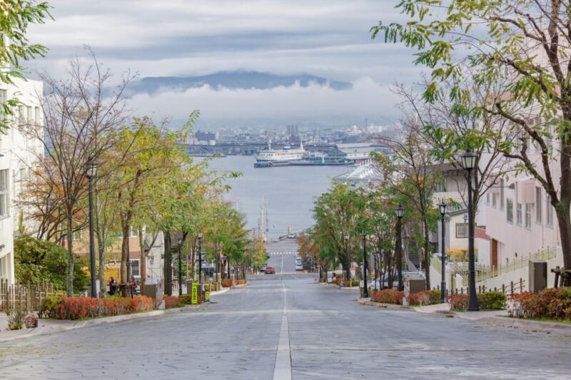 Hakodate: Half-day Heritage Trail Tour (in a Moomoo Taxi!) - Preparation and Recommendations
