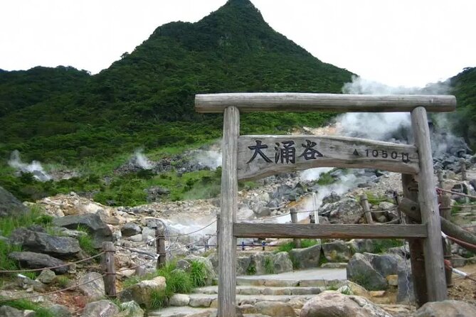 Hakone FreePass, 2-3 Days Japan - Traveler Reviews