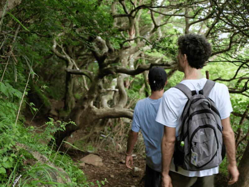 Hakone: Traverse the Hakone Caldera and Enjoy Onsen - Customer Reviews and Guide Information