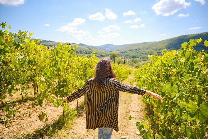 Half-Day Experience to San Gimignano Hills With Picnic and Wine - Transportation and Accessibility Details