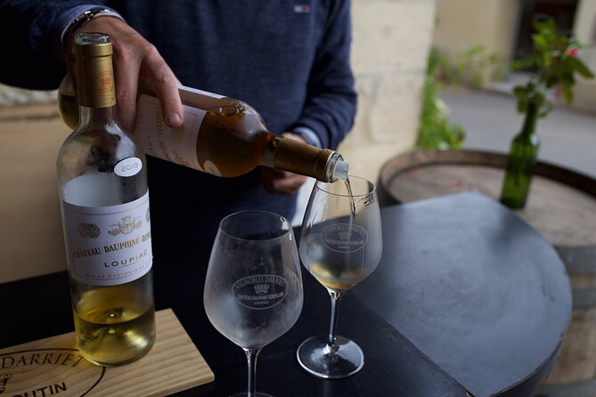 Half-Day Guided Wine Tasting Tour in Bordeaux Vineyards - Guest Experiences